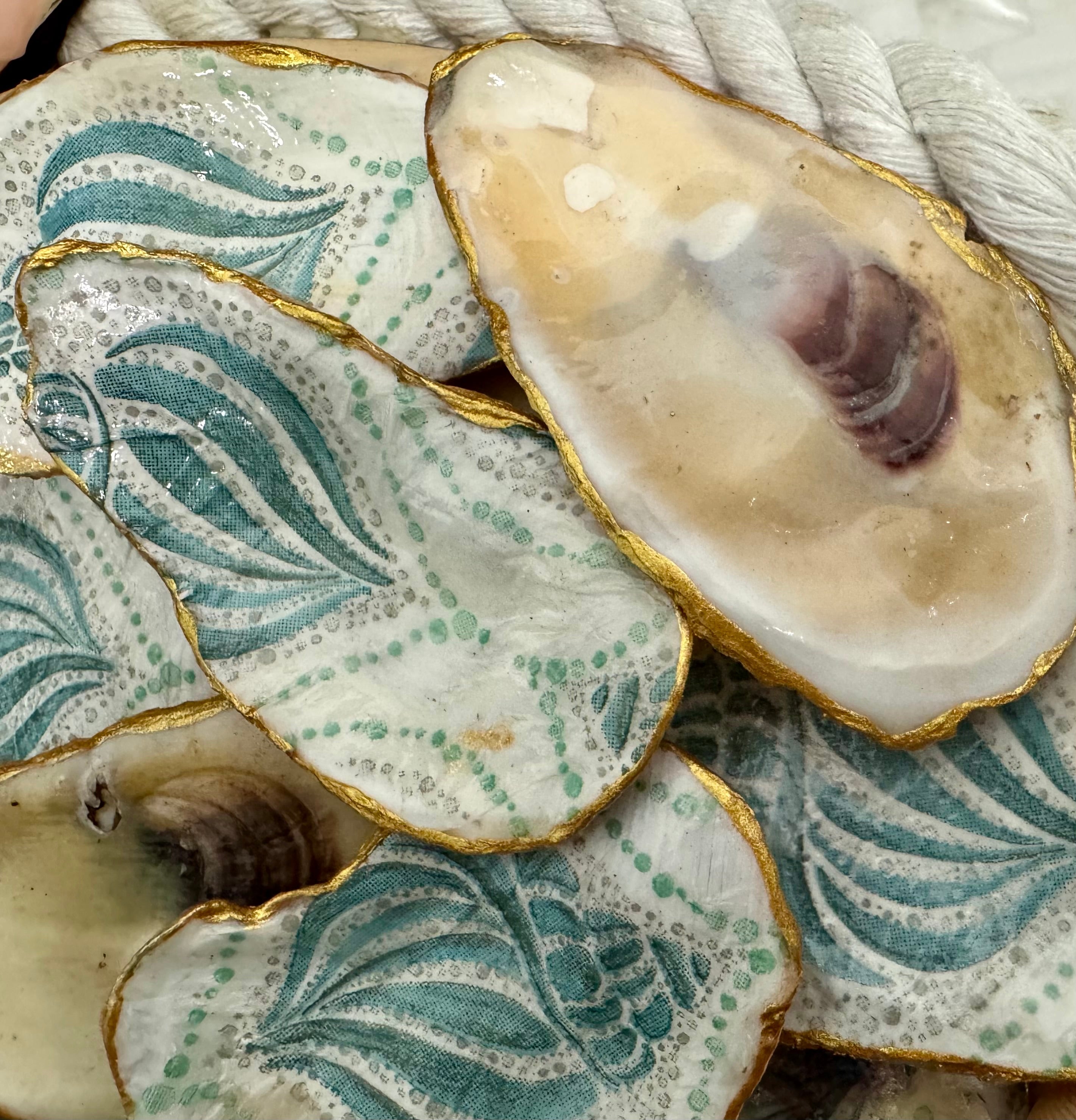 NATURE – Shells, Papyrus and More